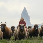 Få STYR på Digte, strofer og vers - Din GUIDE til SUCCESS